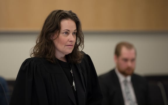 Labour Party youth camp: Accused denies indecent assault charges | RNZ News