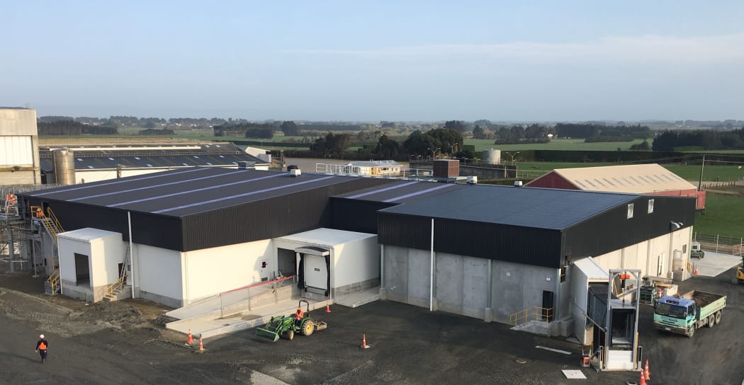 Co-operative starts processing at $16 million venison plant | RNZ News