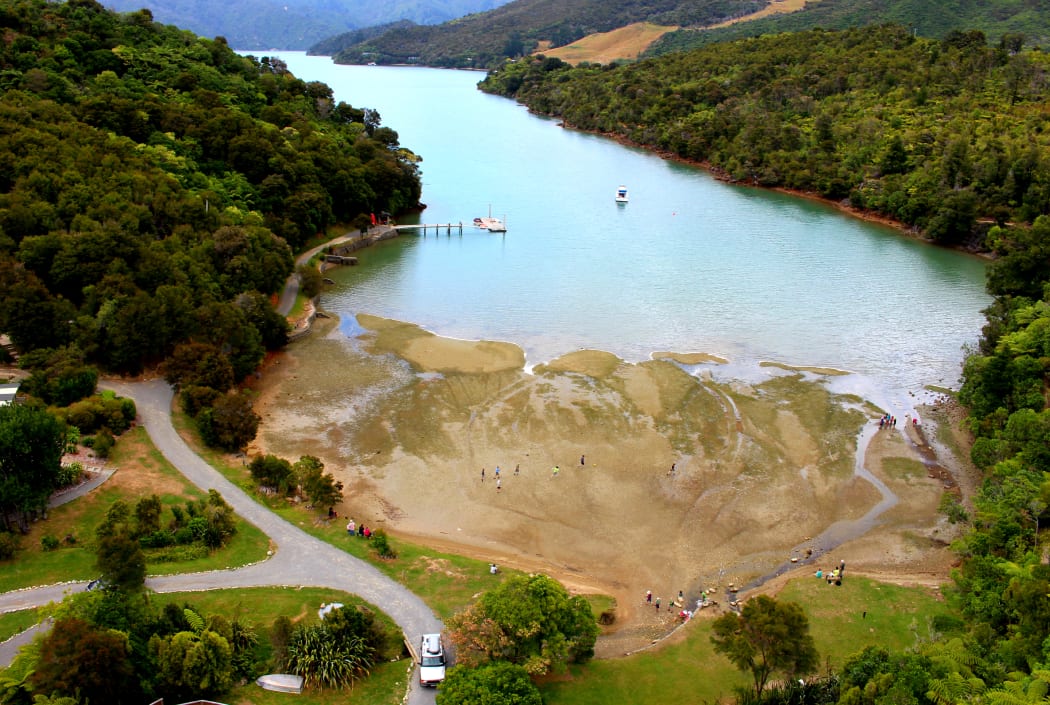 Saturday Morning for Saturday 25 January 2020 Saturday Morning | RNZ