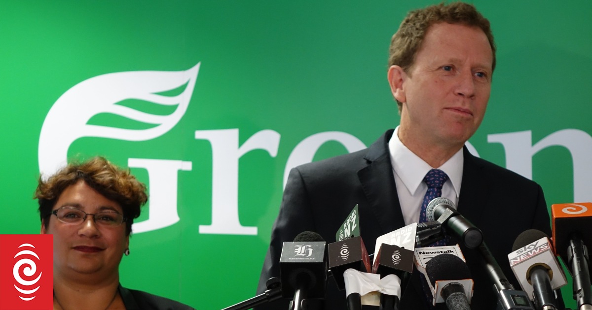 Where to for the Green Party? | RNZ News