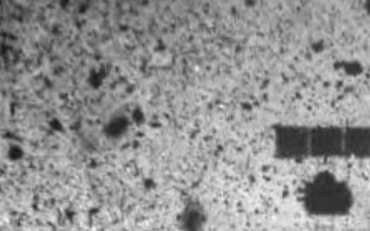 Asteroid image shows touchdown marks | RNZ News