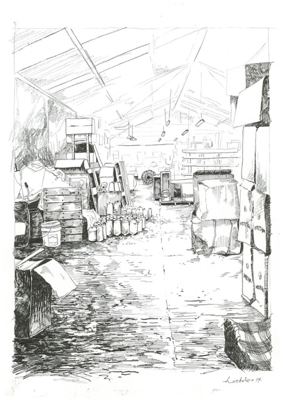 Wool Innovation | RNZ