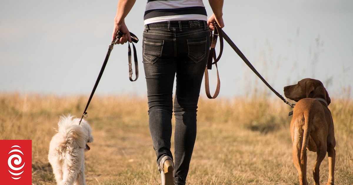 Ann-Sofie Sundman: Dogs and owners share similar stress levels | RNZ