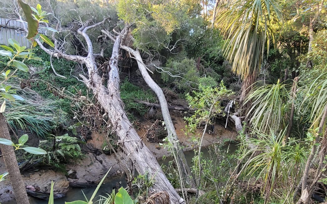 Dispute over how often flooded West Auckland stream had been cleared ...