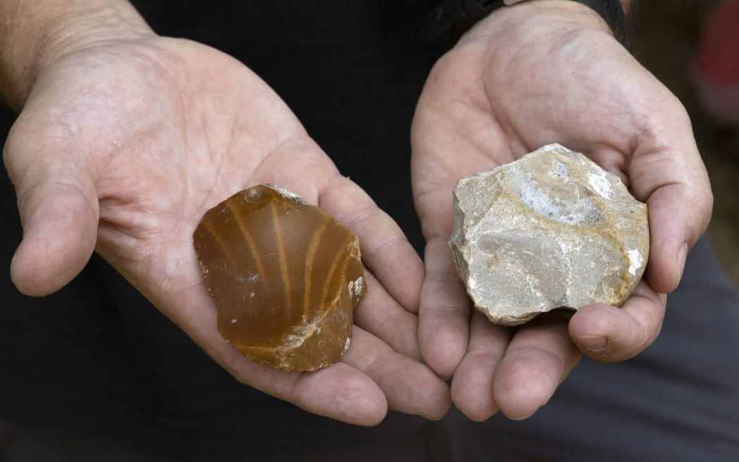 Fossilised tusk from giant ancient elephant found in Israel | RNZ News