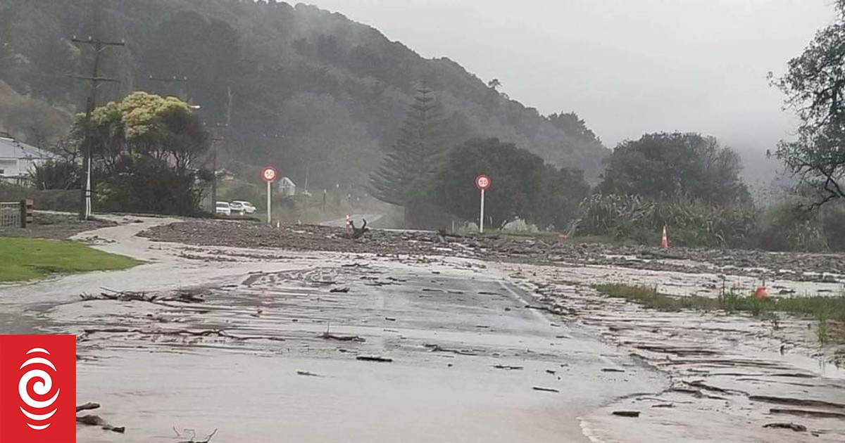 Cyclone Gabrielle: Reports forestry slash wiped out major East Coast ...