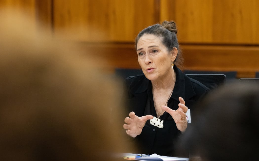 Justice Committee focus on youth justice | RNZ