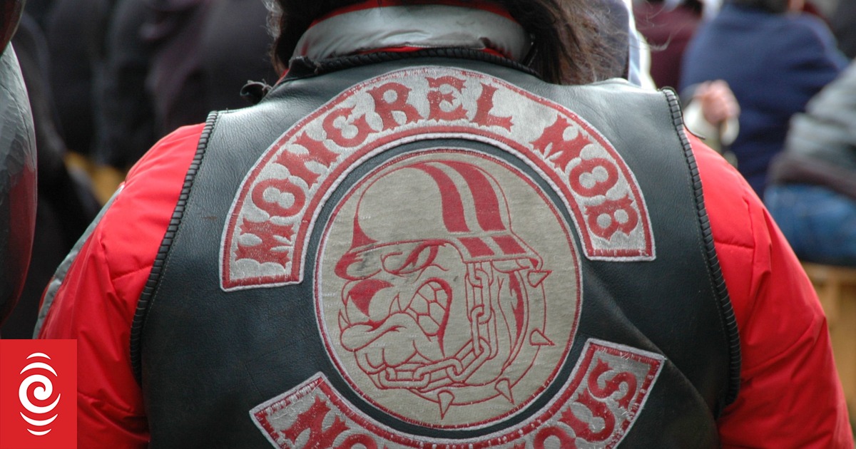 Gang membership on the rise | RNZ