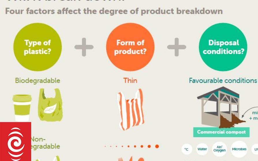 Commissioner targets govt & biodegradable single-use plastics | RNZ