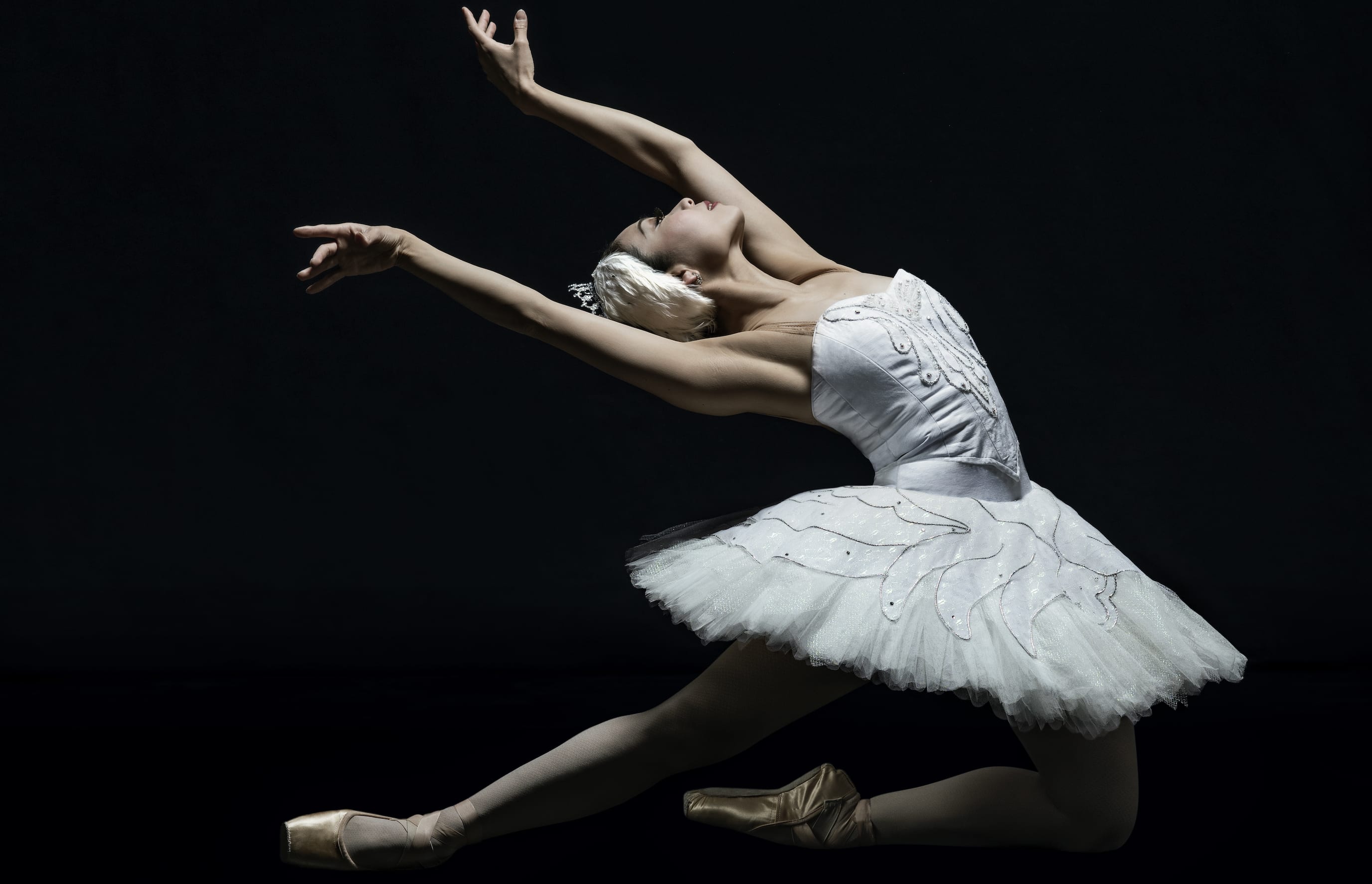Royal NZ Ballet cancels Swan Lake national tour | RNZ News