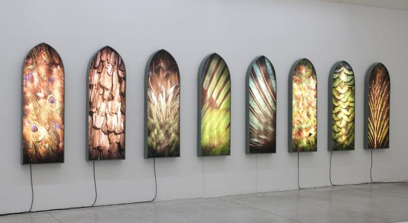 New Arts Laureate, weaver and artist Dr Maureen Lander | RNZ