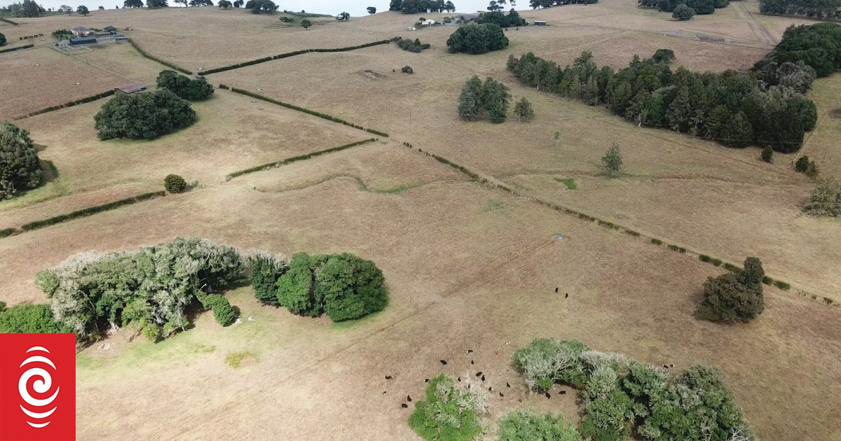 Dry spring drives fears of another serious drought | RNZ