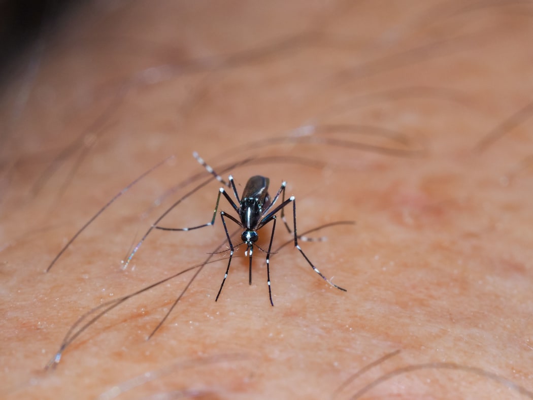 Dengue type 2 diagnosed in Tahiti | RNZ News