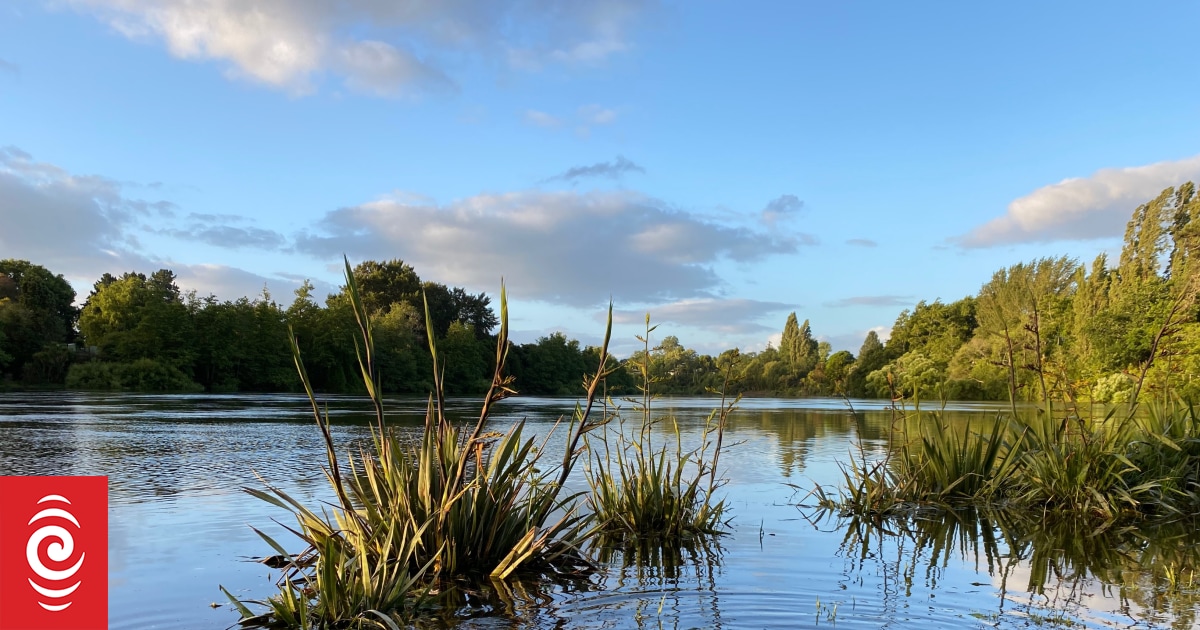 Country Life for 2 December 2022 | RNZ