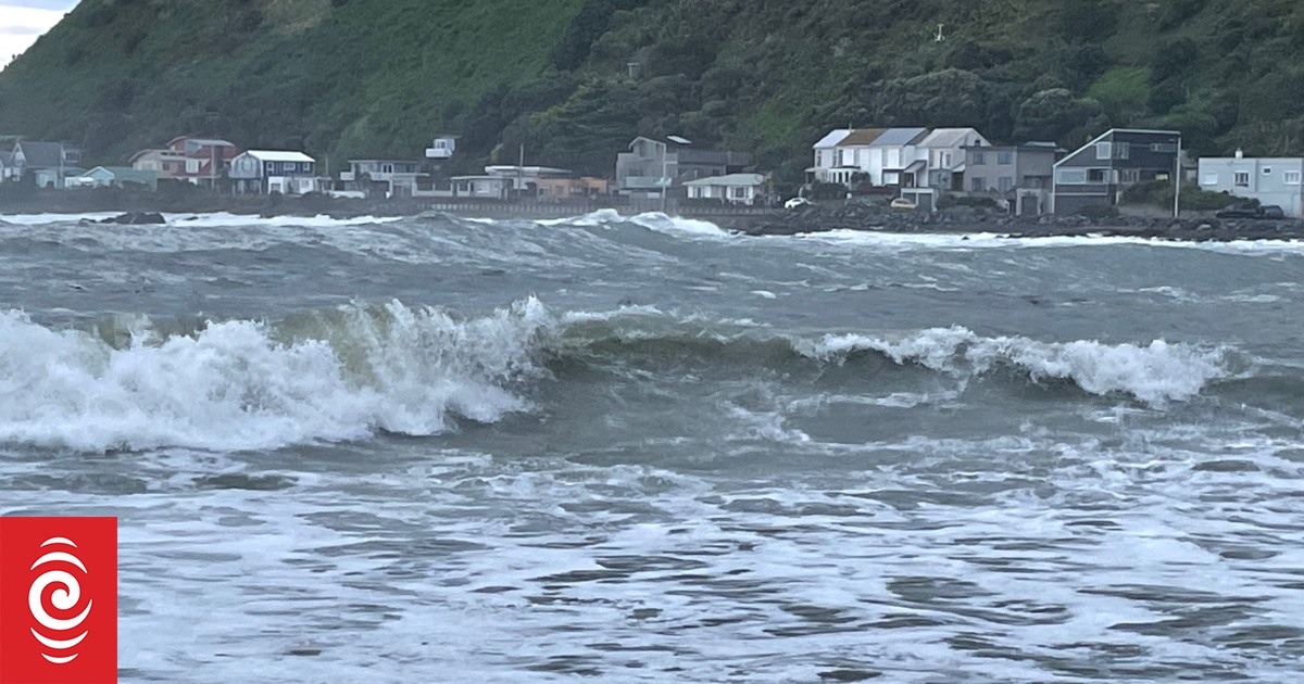 Wellington's south coast battered by strong winds | RNZ