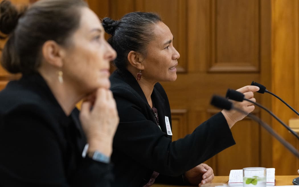 Justice Committee focus on youth justice | RNZ