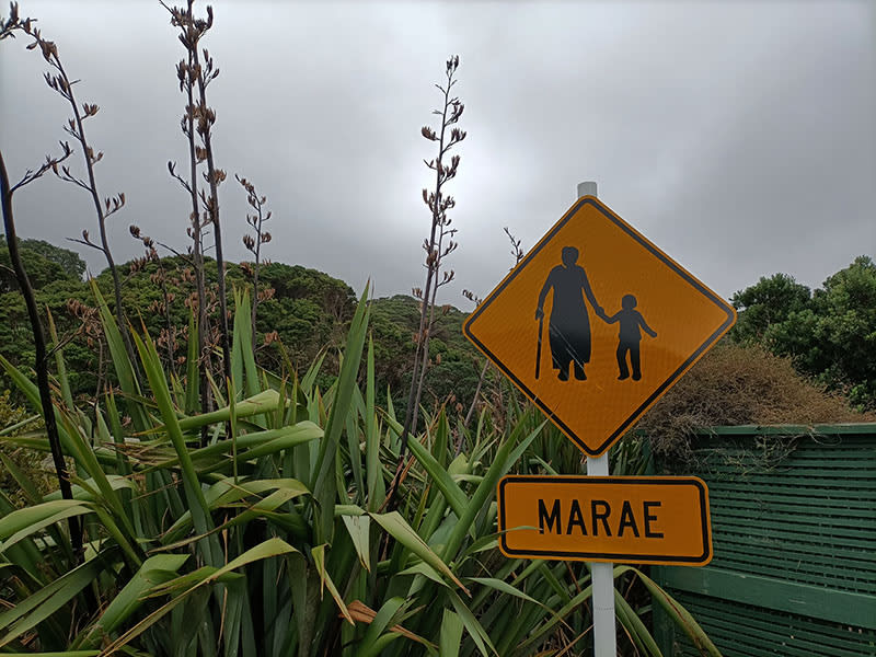 Scenes from Aotea Great Barrier Island | A Gallery from Nine To Noon ...