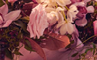 Opening Up The Ballet | RNZ