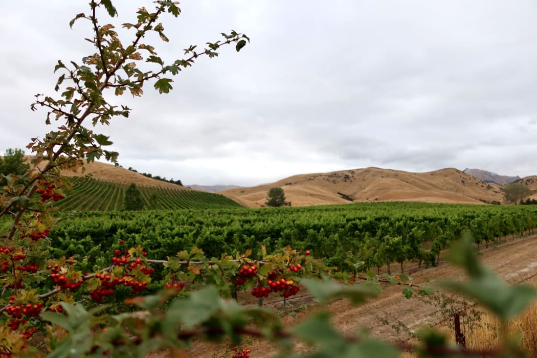 Marlborough quarry seeks to ring-fence road funding | RNZ News