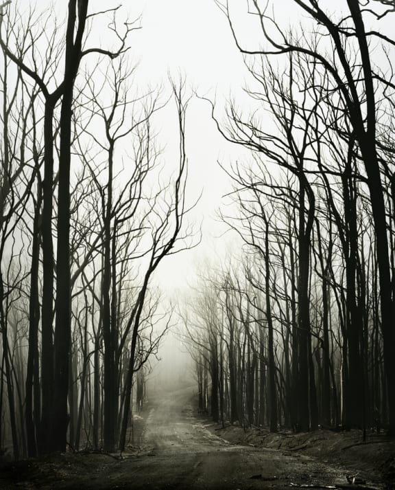 Michael Hall | A Gallery from Standing Room Only | RNZ National