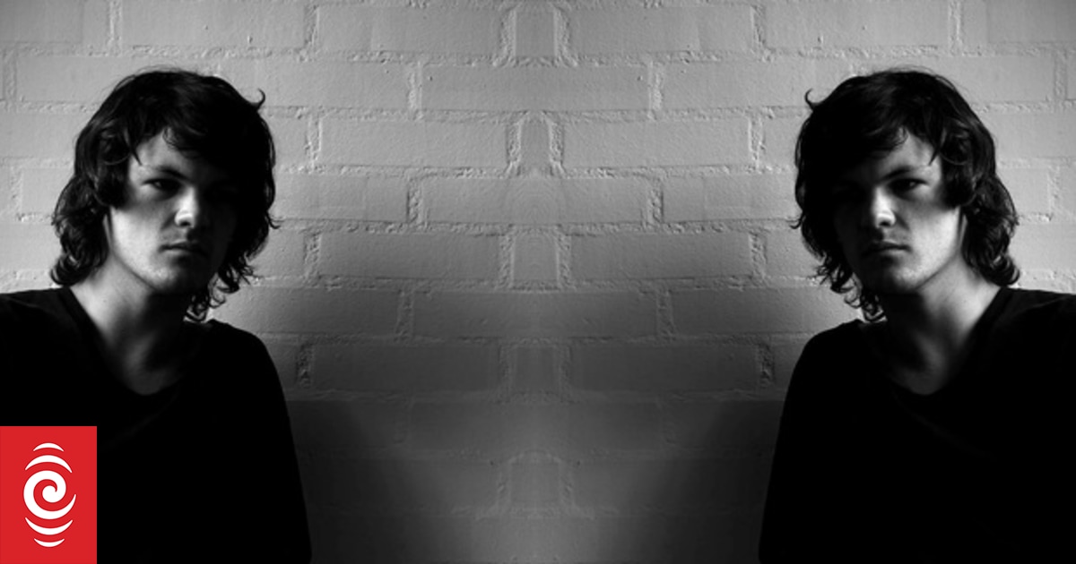 Introducing: Baynk | RNZ News