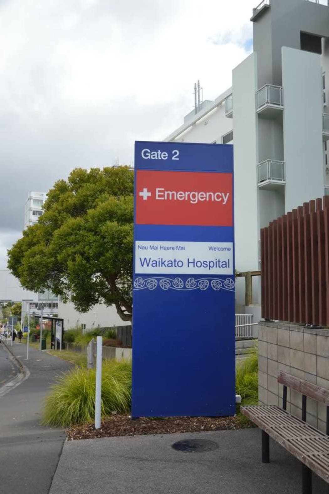 Full corridors, overworked staff an eye-opener for ED visitor | RNZ News