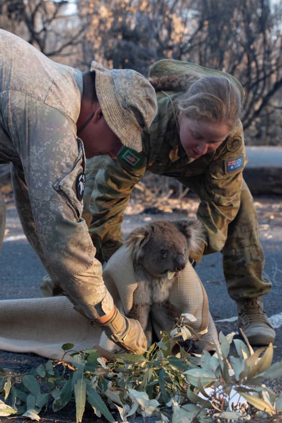 Defence Force faces grim work in Australia but pleased to help out ...