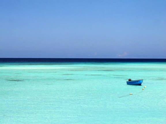 Assumption Island / Aldabra Atoll | A Gallery from Nine To Noon | RNZ ...