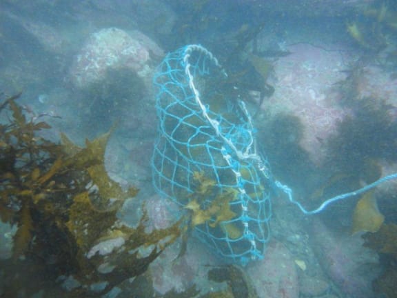 Commercial Paua Divers | A Gallery from Extreme Diving in New Zealand ...