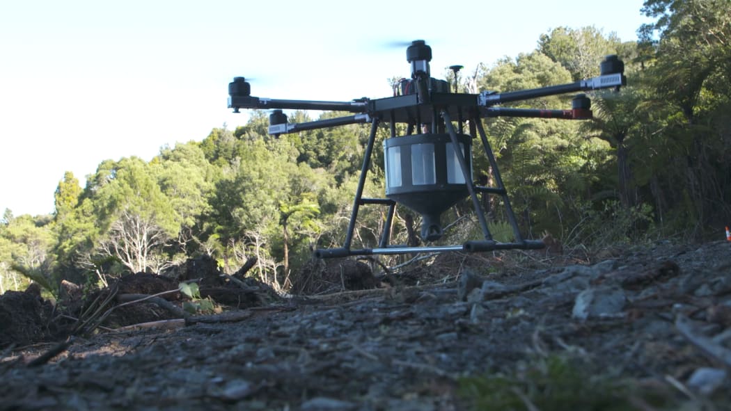 Seed-dropping drone may be future of tree planting | RNZ