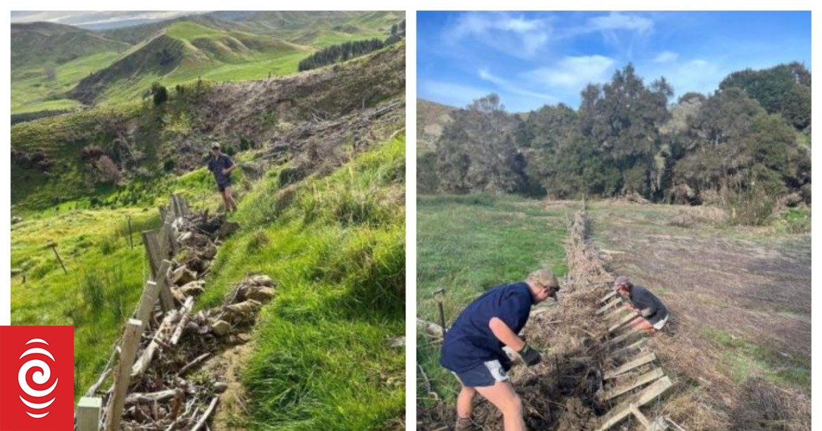 Cyclone Gabrielle aftermath: Skilled volunteers lend a hand with ...