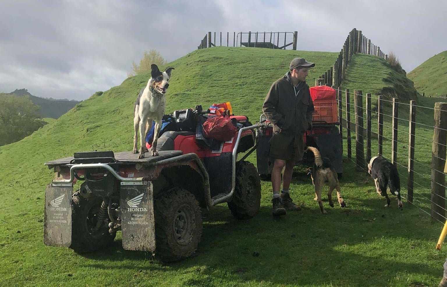 On the Farm - a wrap of farming conditions around NZ | RNZ