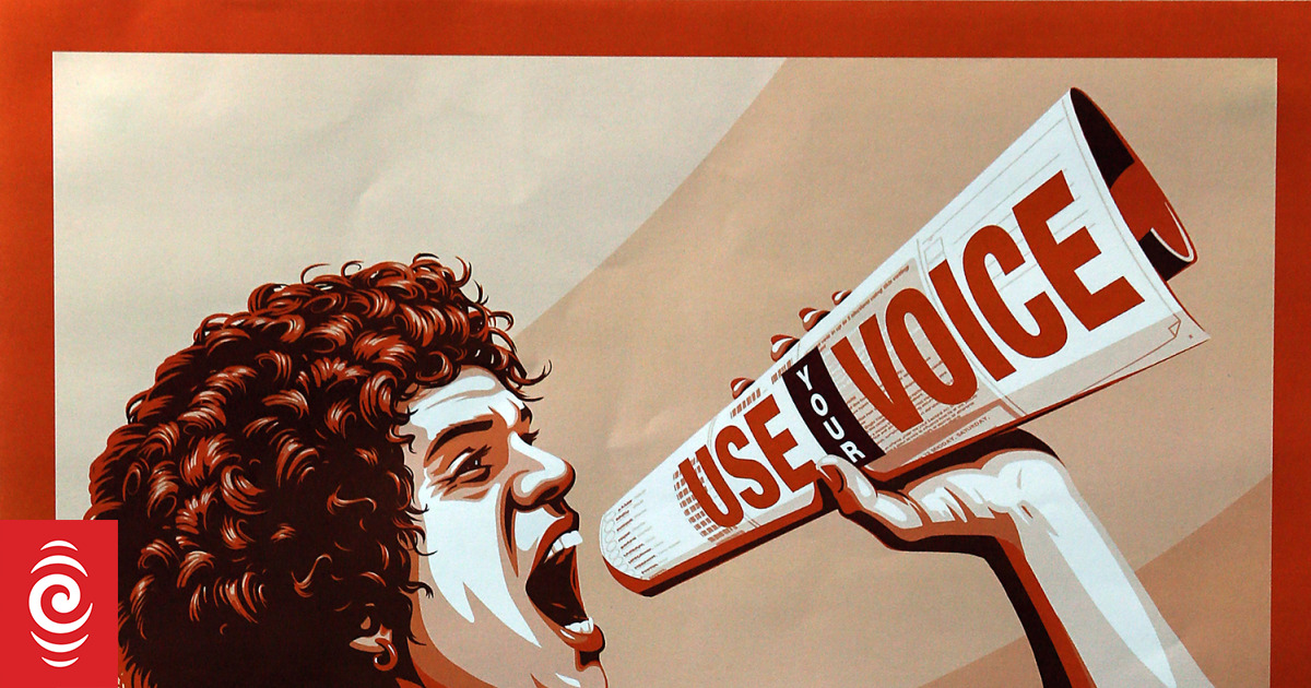 Analysis: Steve Wilde talks about the local government elections | RNZ News