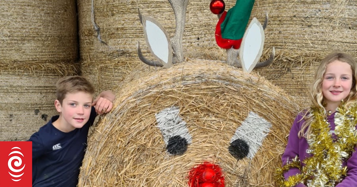 Deck the hay bales: Southland farmers get behind Christmas competition ...