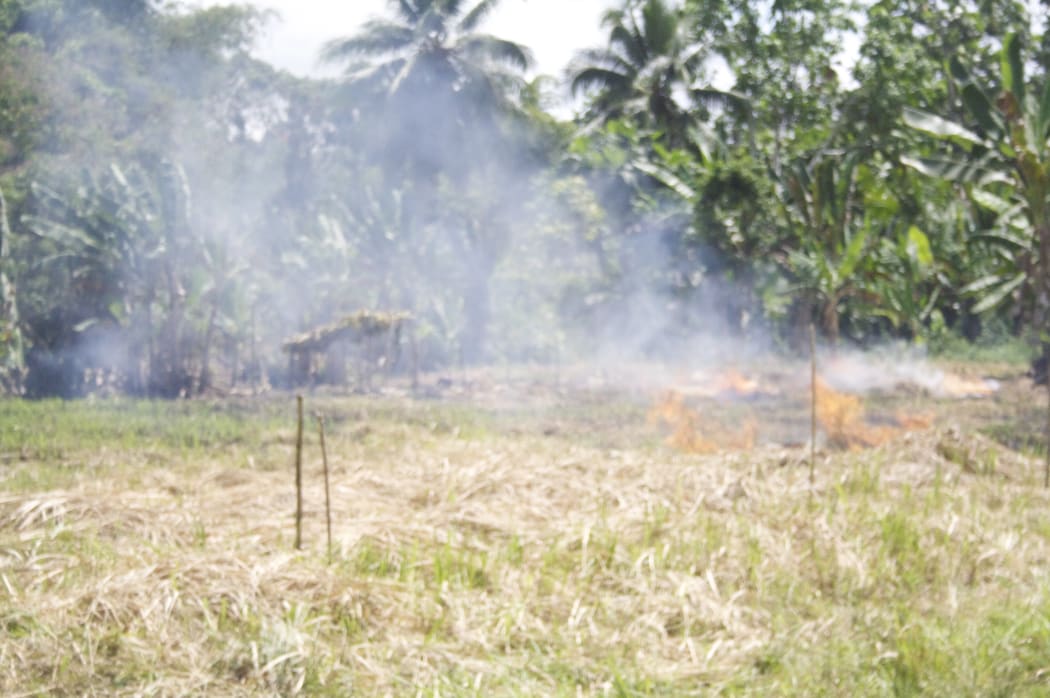 Impact of forest fires on Papua on climate change agenda | RNZ News