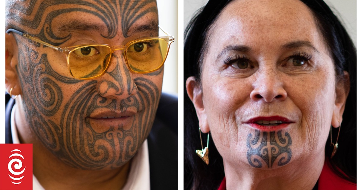 Te Pāti Māori committed to holding other parties to account on a 'Te ...