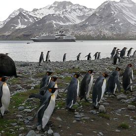 Nine To Noon for Monday 14 November 2022 Nine To Noon | RNZ