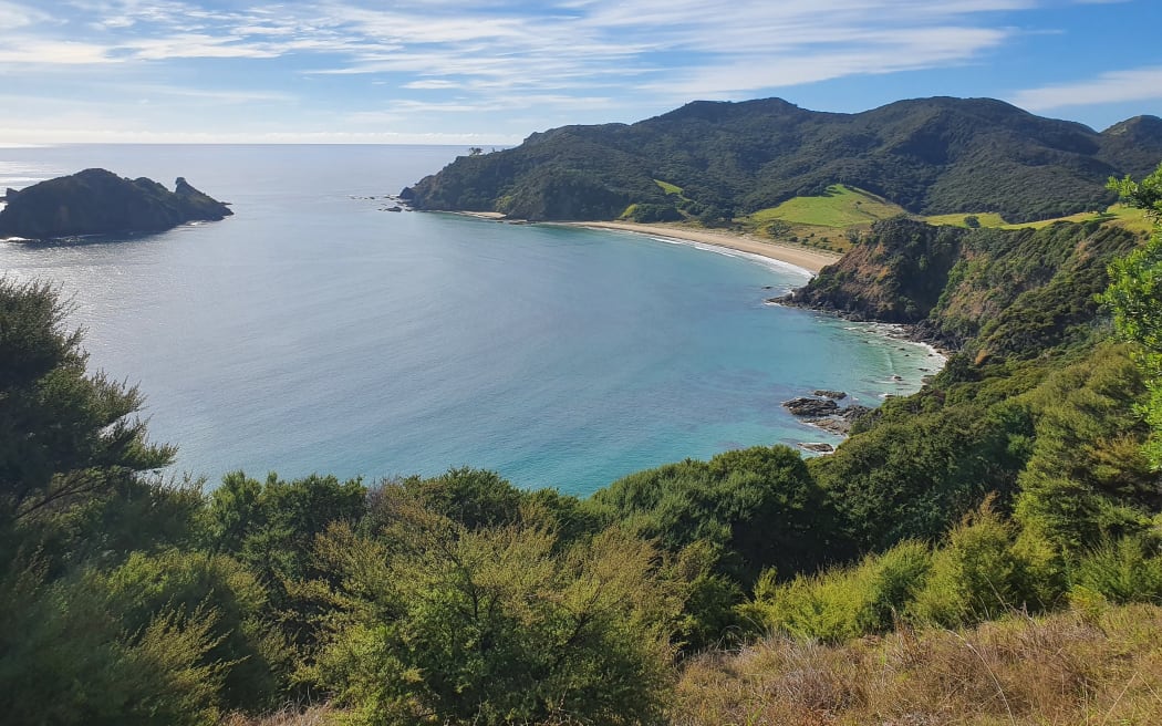 Great Barrier Island sand dune collapses, two boys critically hurt ...