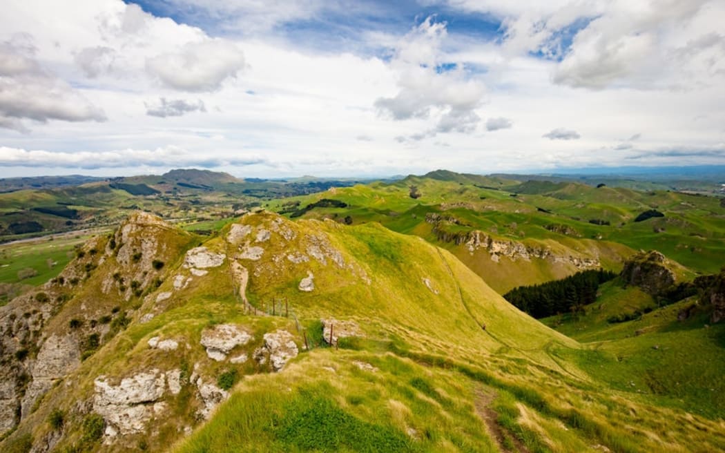 Te Mata Peak track: 'It was like a stab in the heart' | RNZ News