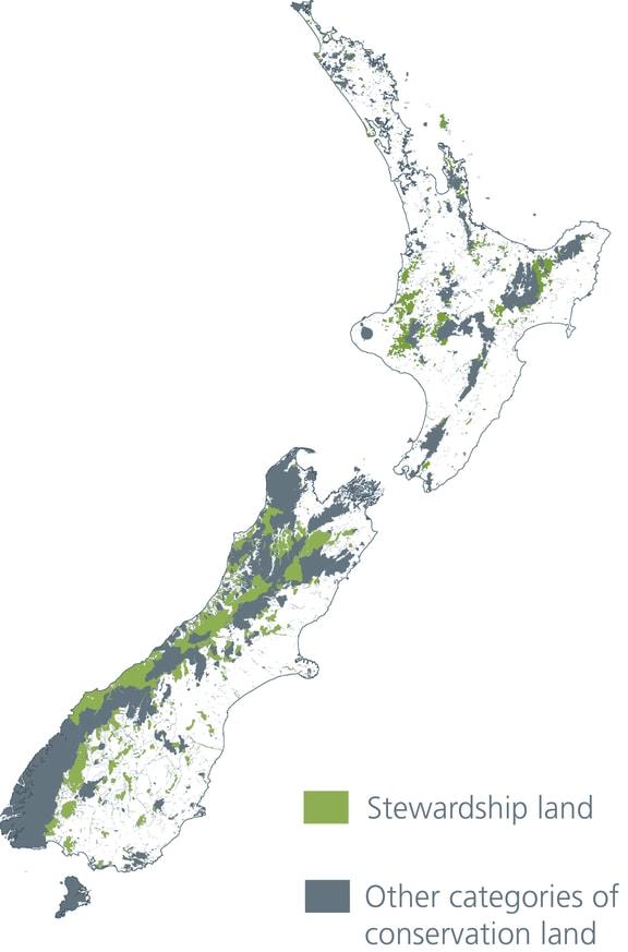 Conservation estate | A Gallery from Nine To Noon | RNZ National