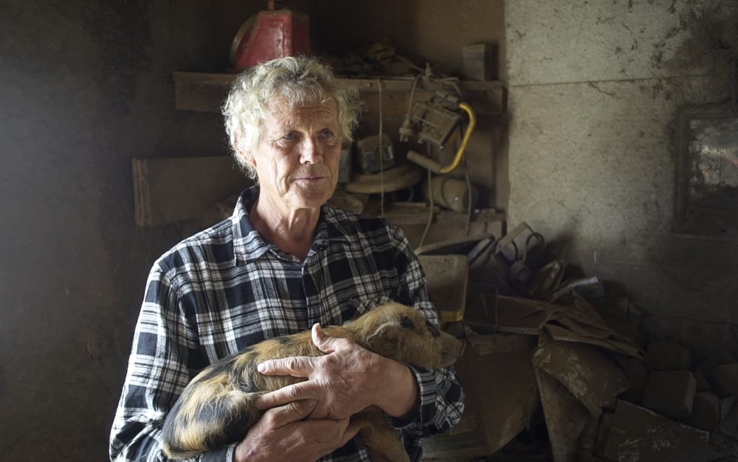 Coromandel man condemned to 'house arrest' to protect pigs from torture ...