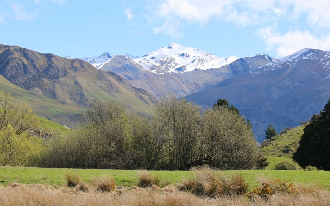 School leavers grow into hardy shepherds on high-country cadet farm | RNZ