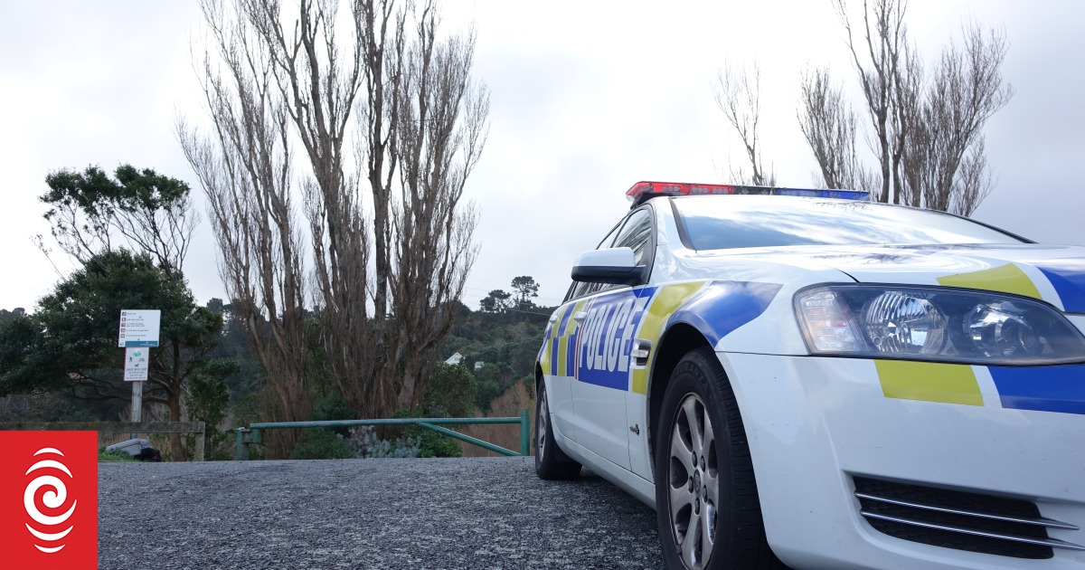 Lower Hutt attack an isolated incident - police | RNZ News