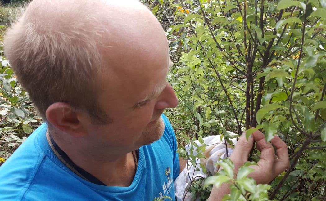 Nights with Karyn Hay for Thursday 17 May 2018 Nights with Karyn Hay | RNZ