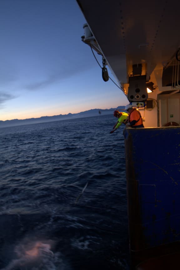 Craig Stevens - Physical Oceanographer | A Gallery from Nine To Noon ...