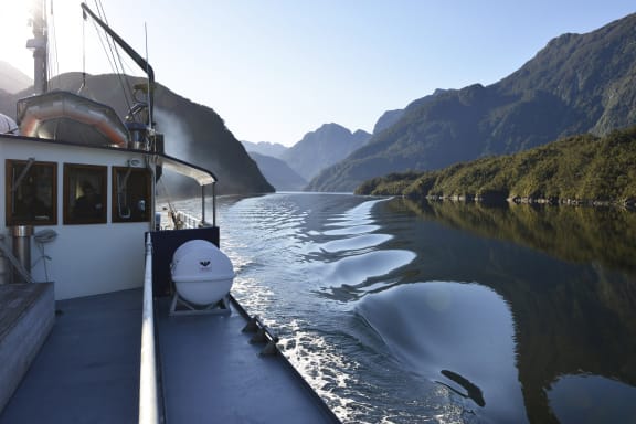 Tamatea/Dusky: The birthplace of New Zealand conservation | RNZ