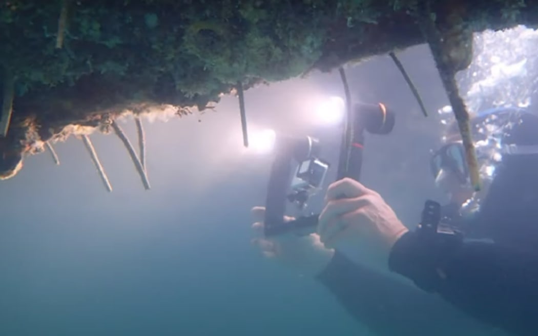 Shipping biofoul woes could be solved using promising new methods | RNZ ...