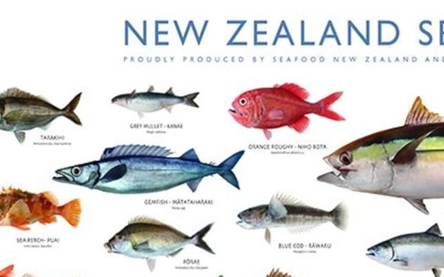 Photographing the country's fish | RNZ