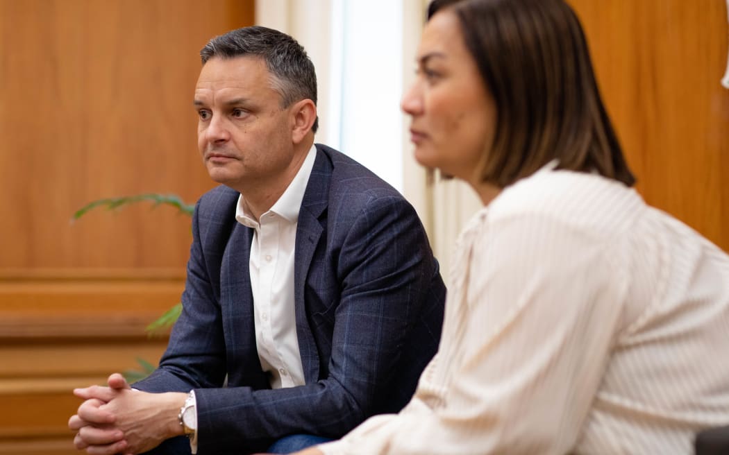 Green Party leaders: 2022 went 'phenomenally well' | RNZ News