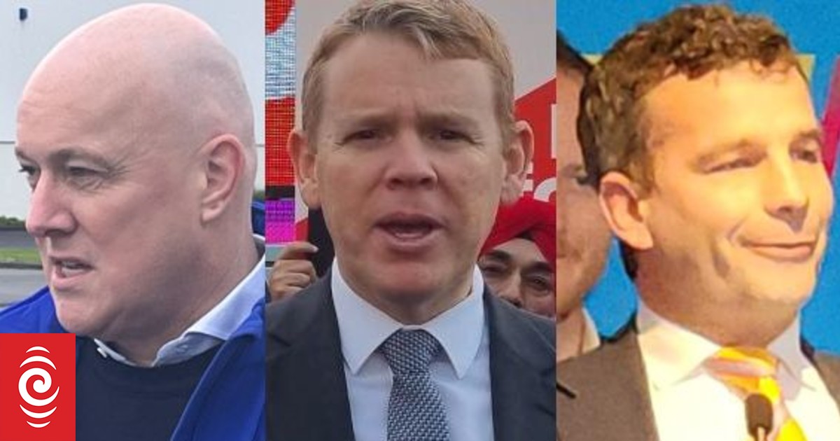 Political commentators Neale Jones & Brigitte Morten | RNZ